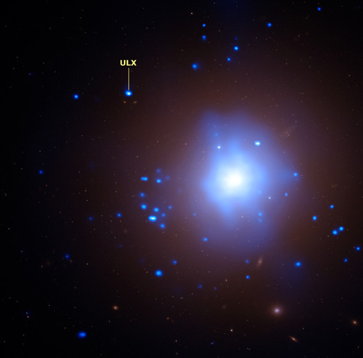 Chandra :: Photo Album :: NGC 1399 :: January 4, 2010