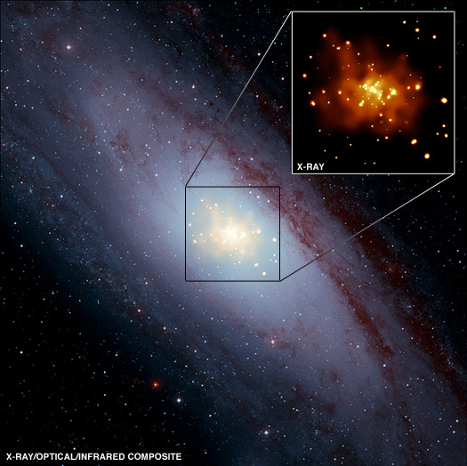 Chandra :: Photo Album :: M31 :: February 17, 2010